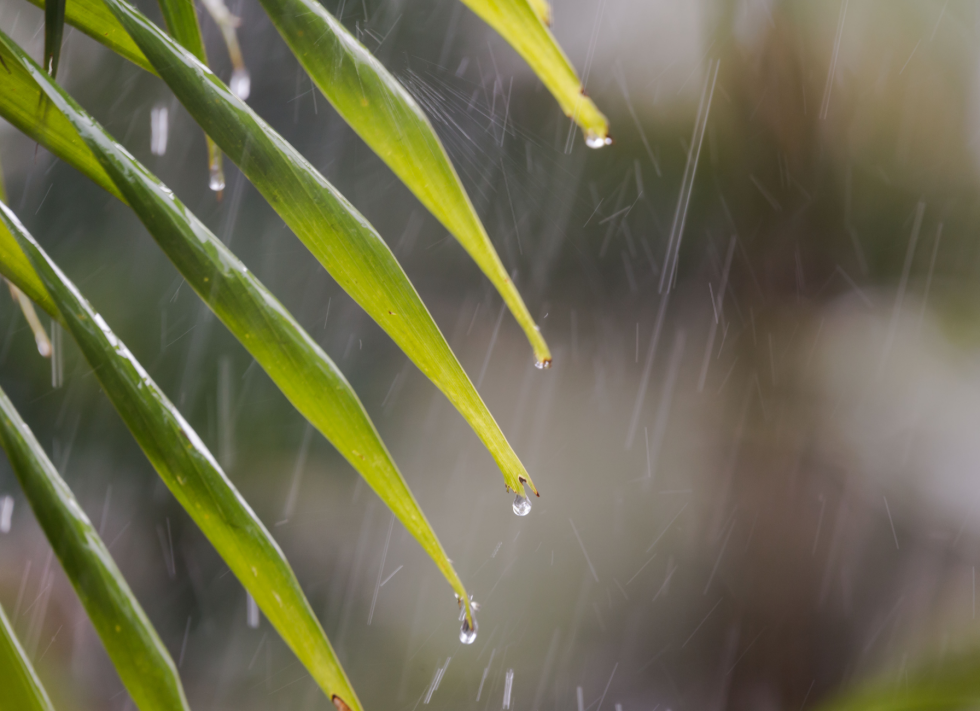 Rainy Season Travel in the Philippines: Where to Go & What to Expect ...